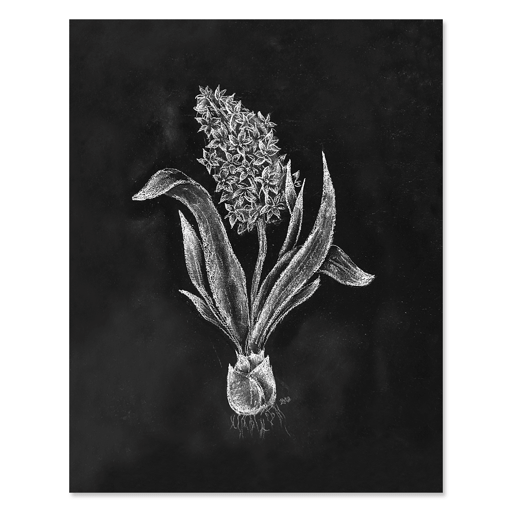 Hyacinth - Print - Wall Art - Spring Art - Spring Flowers - Floral Art ...